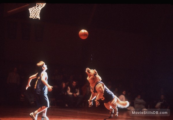 Air Bud 1997 Air Bud (1997) IMDb