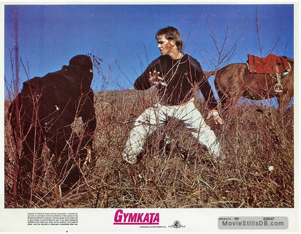 Tetchie Agbayani Gymkata