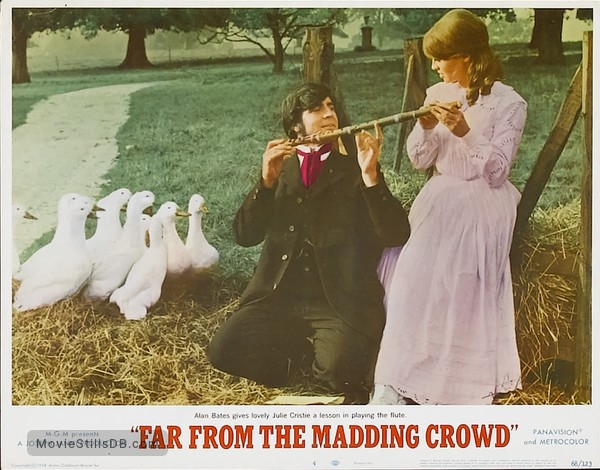 Far from the Madding Crowd - Lobby card with Alan Bates & Julie Christie