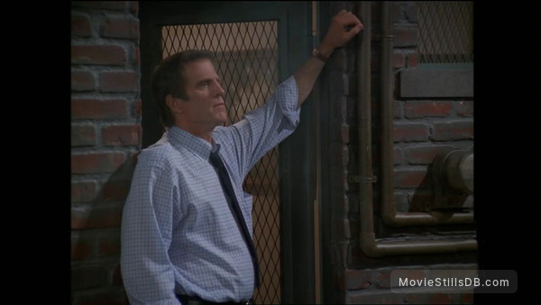 Ted Danson Becker
