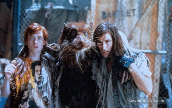 Teenage Mutant Ninja Turtles - Publicity still of Elias Koteas & Kevin ...