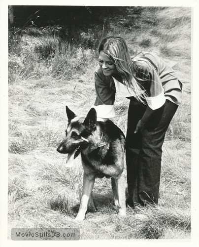The Bionic Woman - Publicity still of Lindsay Wagner