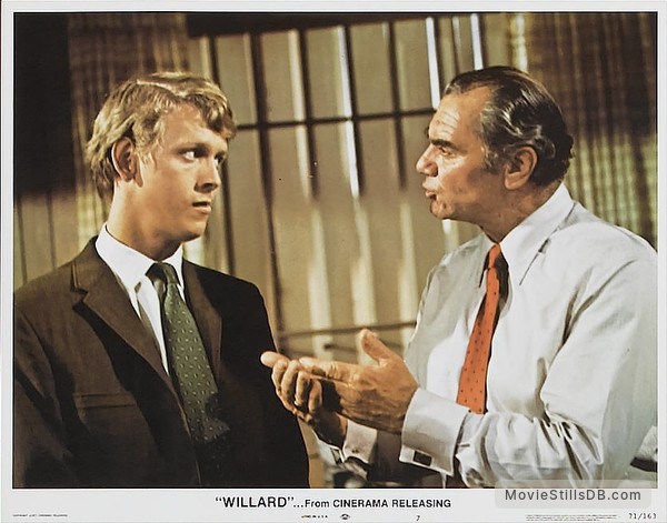 Bruce Davison Willard