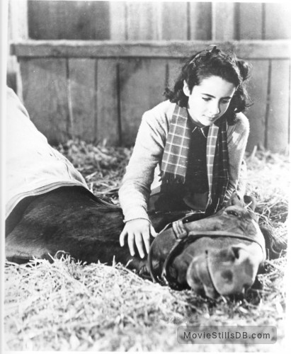 Elizabeth Taylor National Velvet Elizabeth Taylor, Mickey Rooney, From