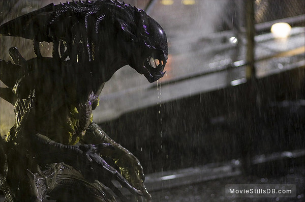 AVPR: Aliens vs Predator - Requiem - Publicity still