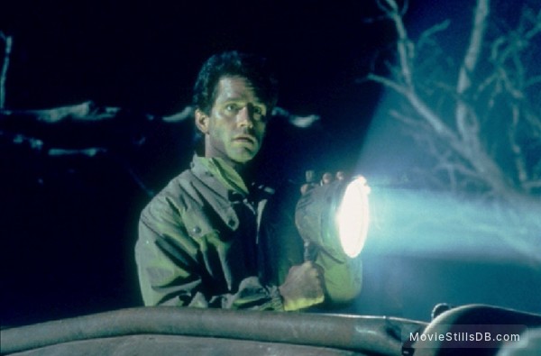 Arkie Whiteley Razorback