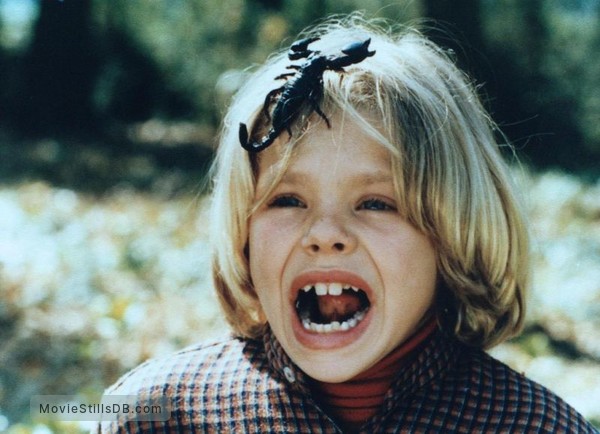 Laura Lenzi's Instagram, Twitter & Facebook on IDCrawl