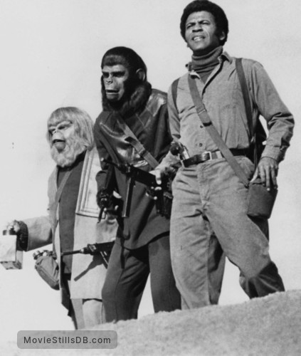 Battle for the Planet of the Apes - Publicity still of Roddy McDowall ...