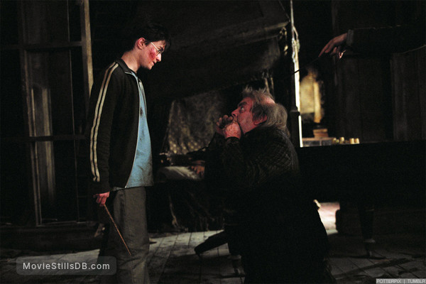 Timothy Spall Harry Potter